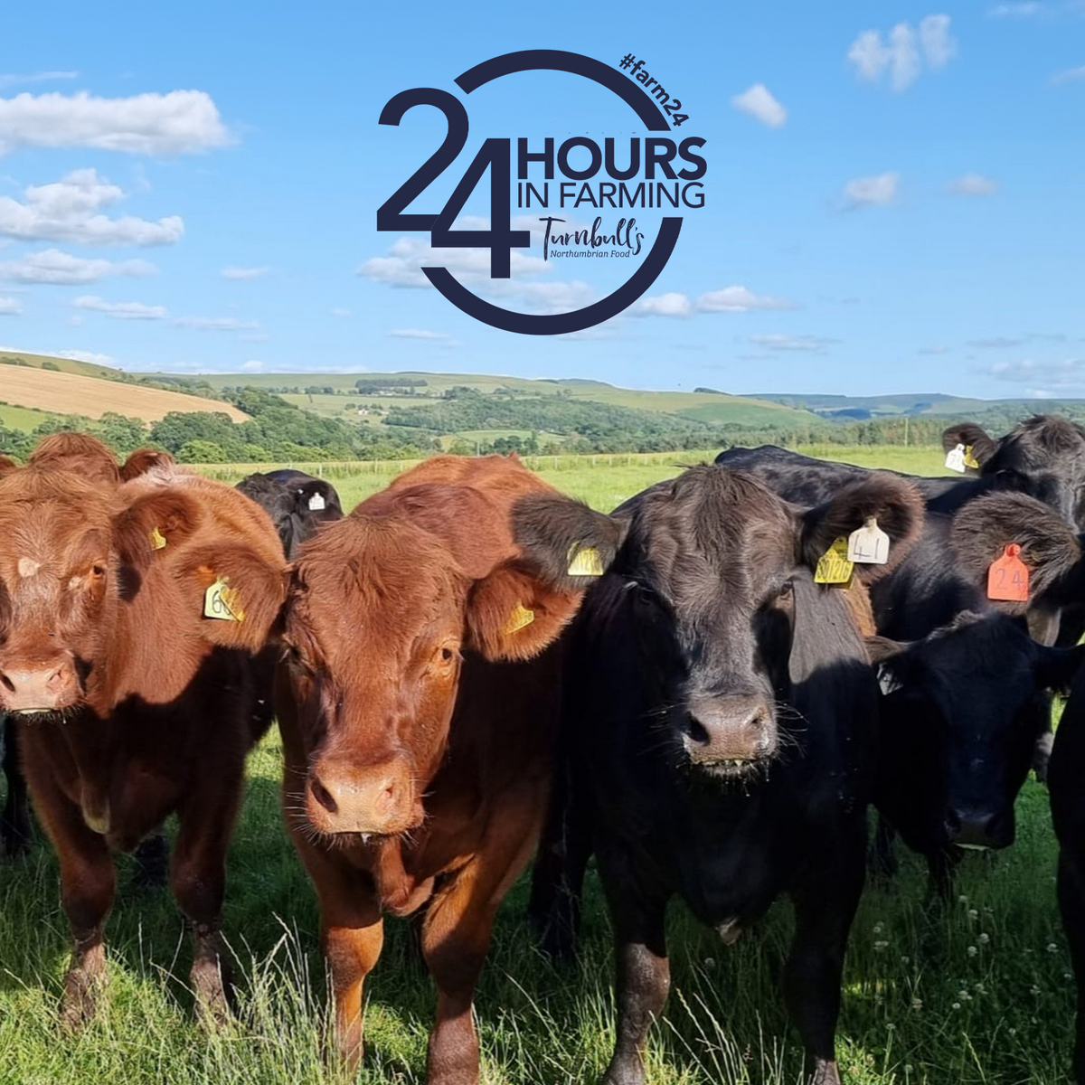 #Farm24 – Turnbull's Northumbrian Food